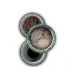 10 Reasons Why You Should Consider RootX - SECA