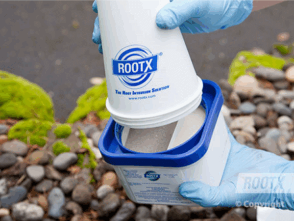10 Reasons Why You Should Consider RootX - SECA